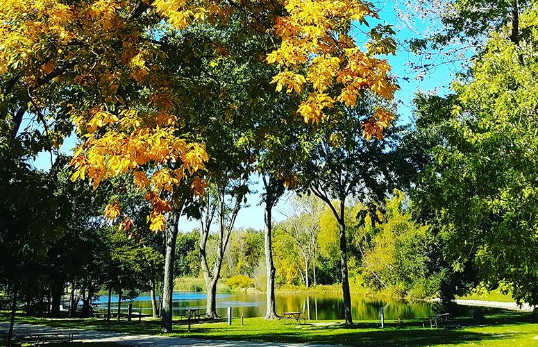 Amenities - Wisconsin Camping at Green Lake Campground